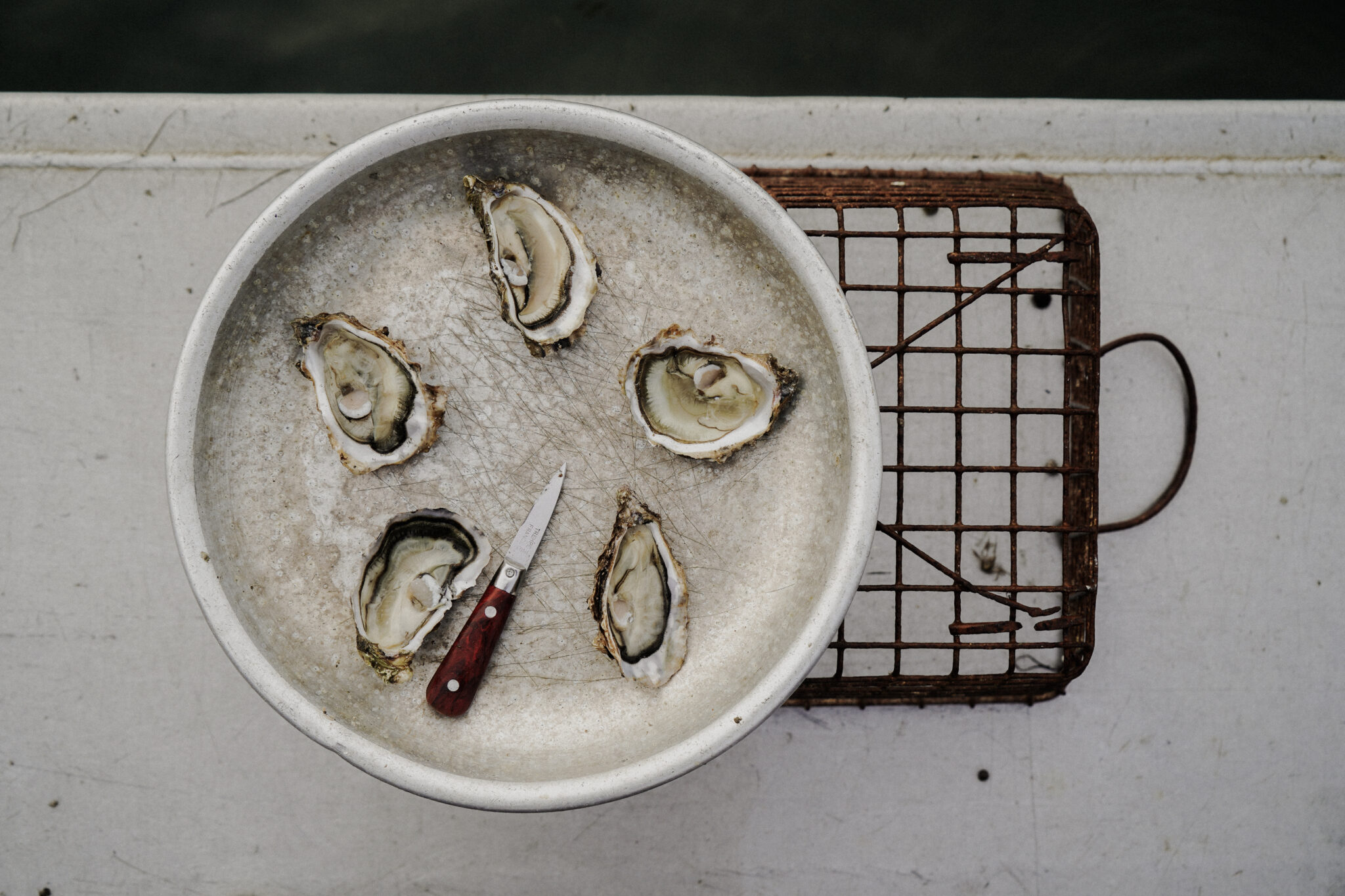 Comment choisir et reconnaître une huître fraîche et de qualité ? - La ...